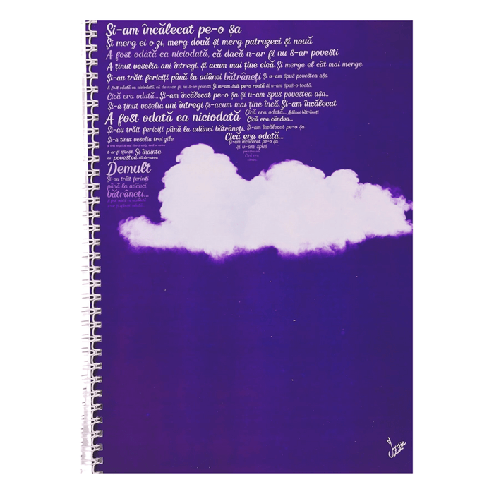 Caiete - Caiet Studentesc, Caiet Interactiv